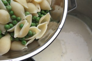 Sweet Peas & Shells Alfredo - Shutterbean