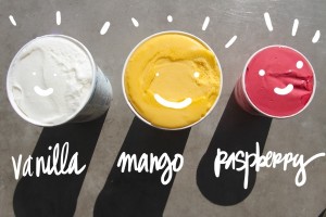 Raspberry Mango Ice Cream Cake - Shutterbean