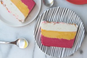 Raspberry Mango Ice Cream Cake - Shutterbean