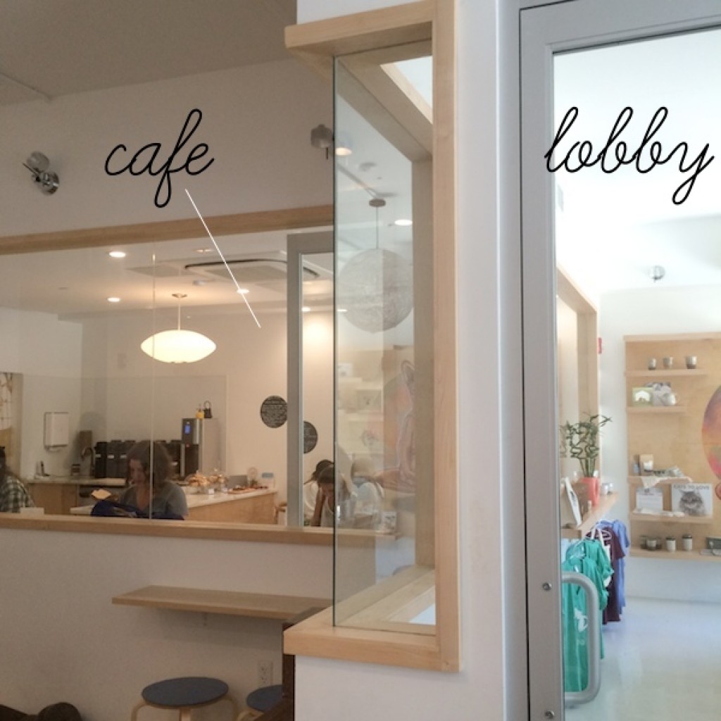 Out & About: Kit Tea - Shutterbean