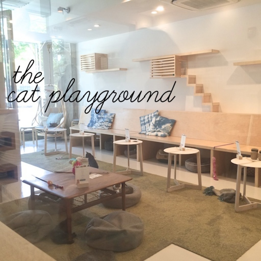 Out & About: Kit Tea - Shutterbean