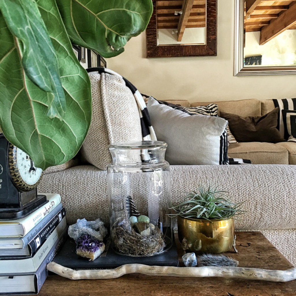 Around the House: Summer 2016 - Shutterbean