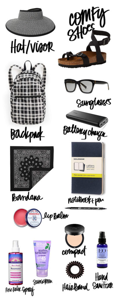 Daypack Travel Gear - Shutterbean