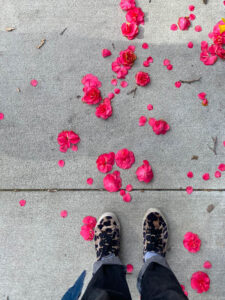 Everyday Magic 02 - Shutterbean