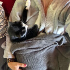 my everyday life Archives - Shutterbean