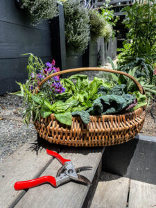 Everyday Magic 02 - Shutterbean